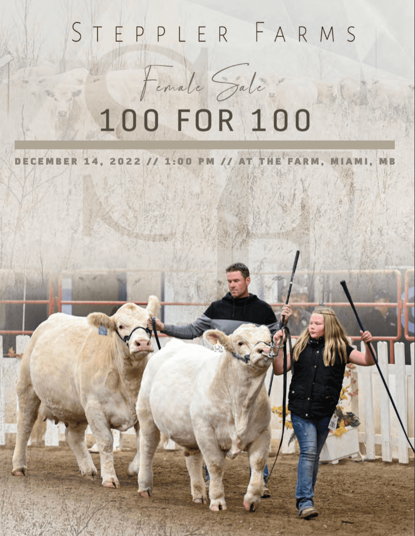Female Sale - Steppler Farms